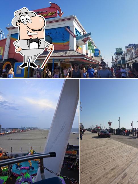 The Wrapper, Ocean City - Restaurant menu, prices and reviews