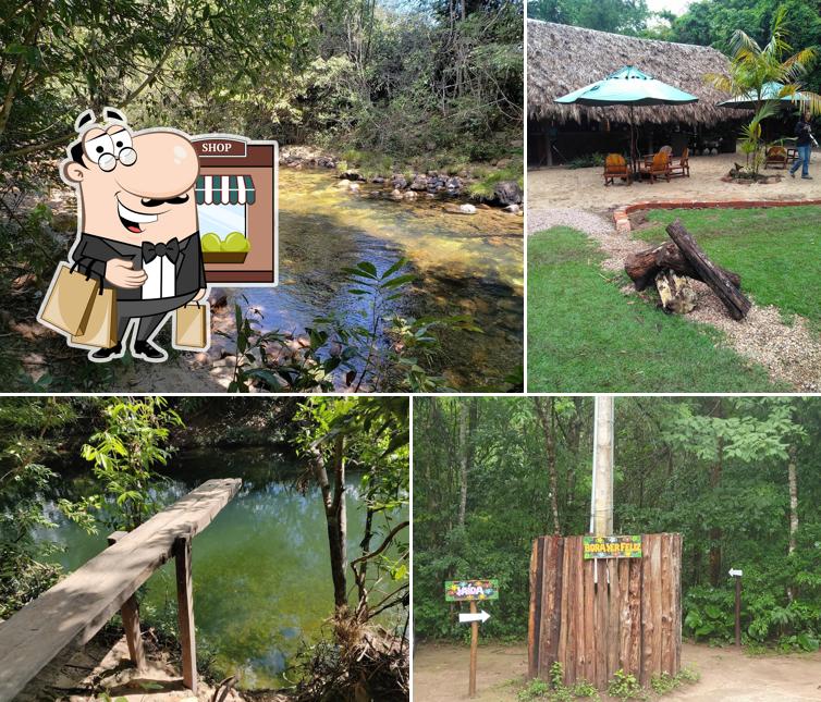 Na Mata Chapada - Terra, Alimento e Calor restaurant, Brasil ...