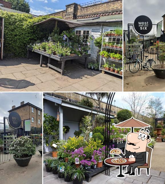 W6 Garden Centre and Cafe in London - Restaurant reviews
