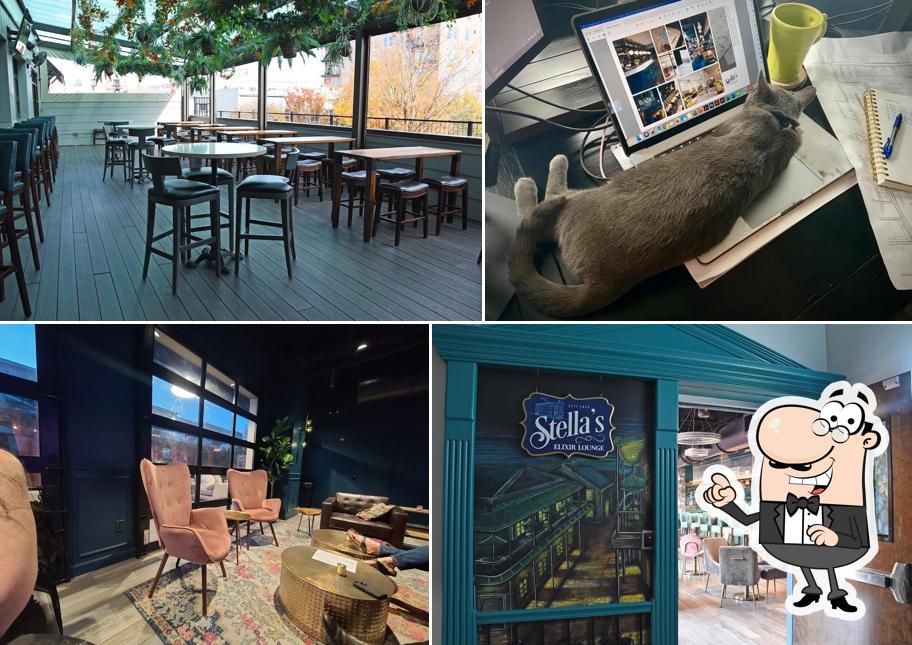 Stella's Elixir Lounge in Huntsville - Restaurant menu and reviews