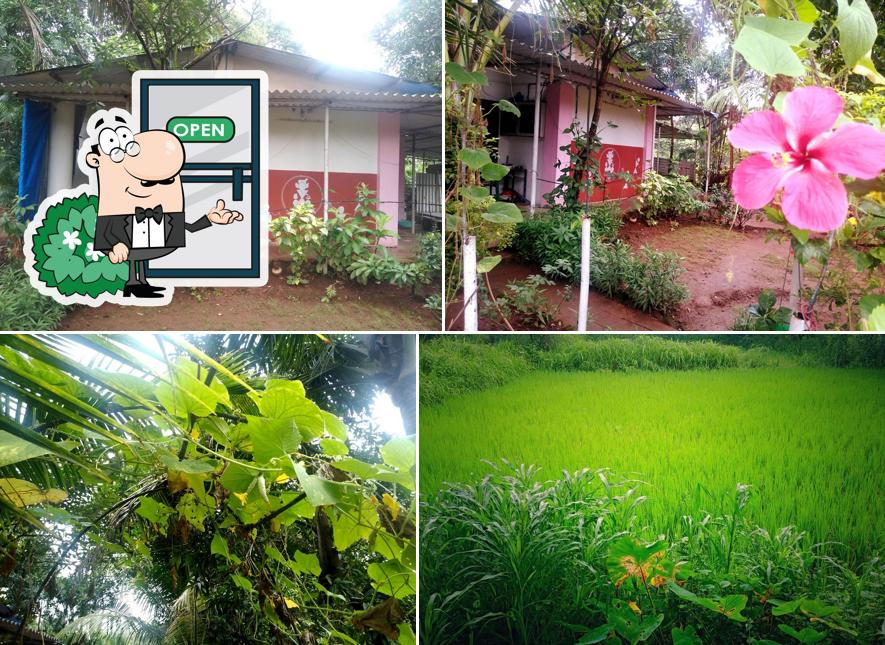 Vanashree Farm, Thane - Restaurant reviews