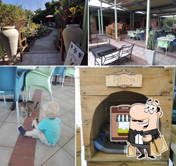 Coffee Cats., Durban - Restaurant menu, prices and reviews