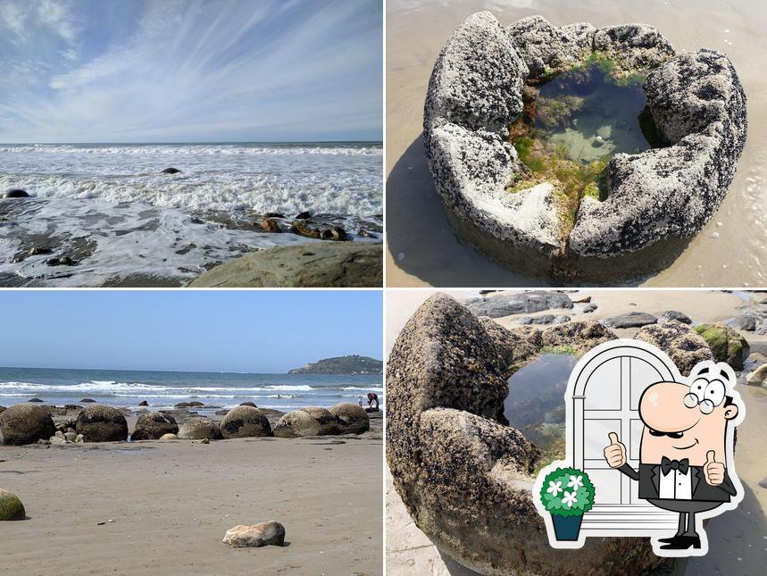 Moeraki Boulders Cafe in Hampden - Restaurant menu and reviews