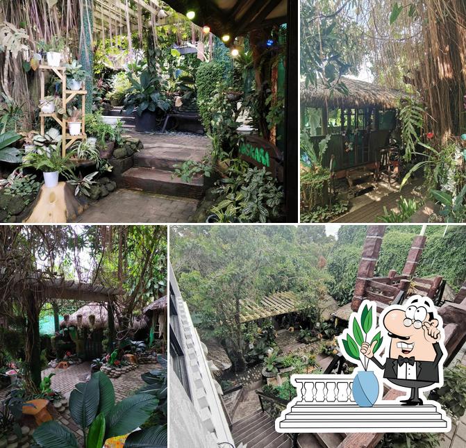 Top 5 restaurants with live music in Tagaytay, december 2024 ...