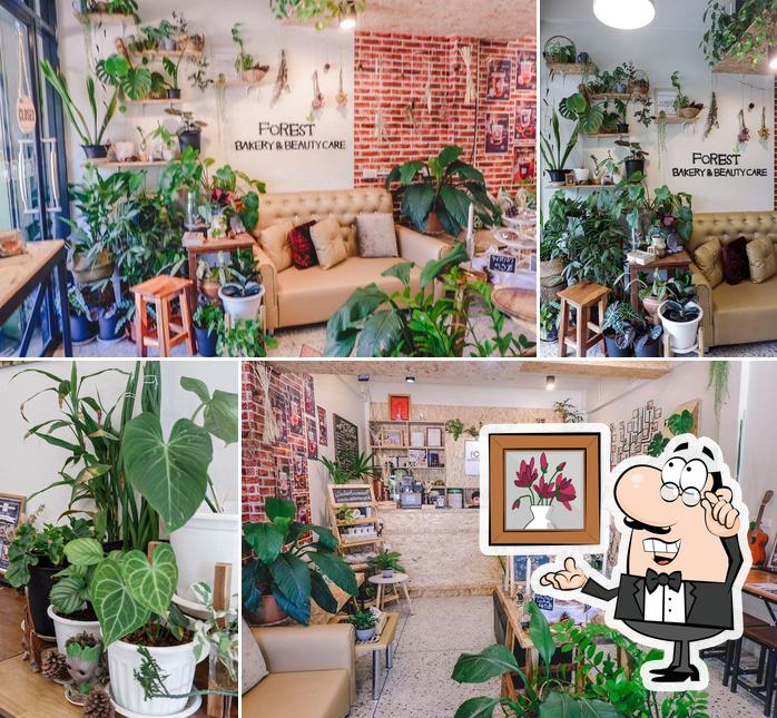 Forest Bakery & Beauty Care, Tha Chana - Opiniones del restaurante
