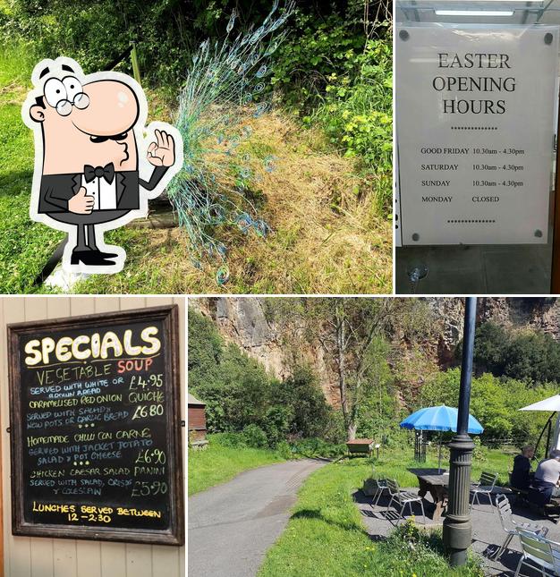 Rowan Tree Tea Room in Weston-super-Mare - Restaurant reviews