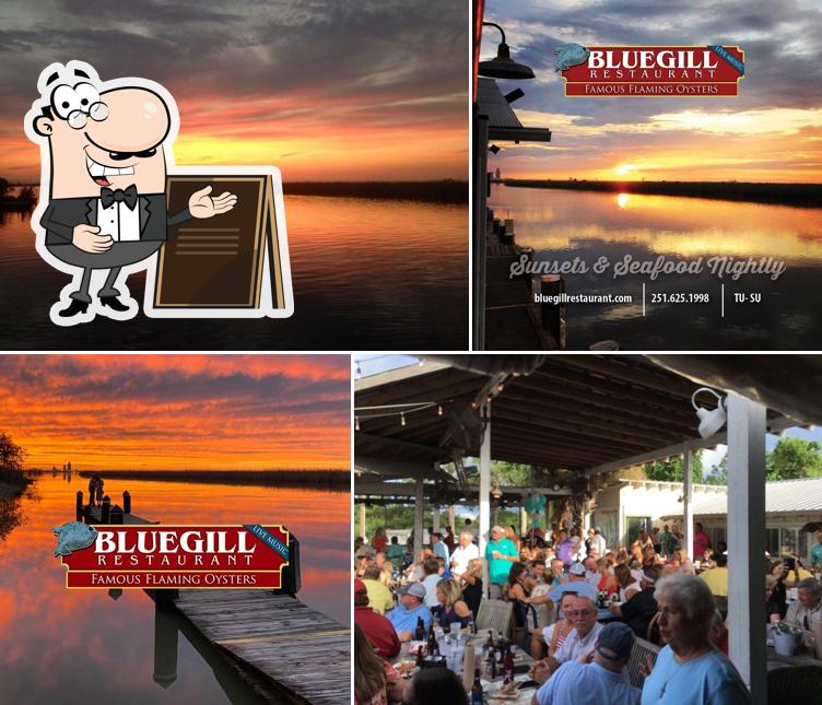 BLUEGILL Restaurant, Spanish Fort - Restaurant menu, prices and reviews