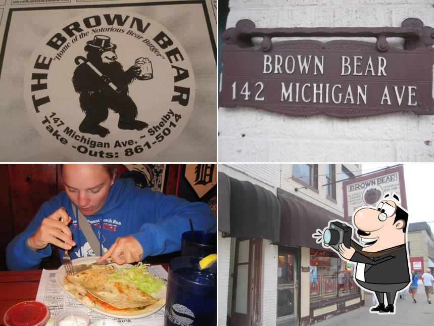 Brown Bear Shelby Mi