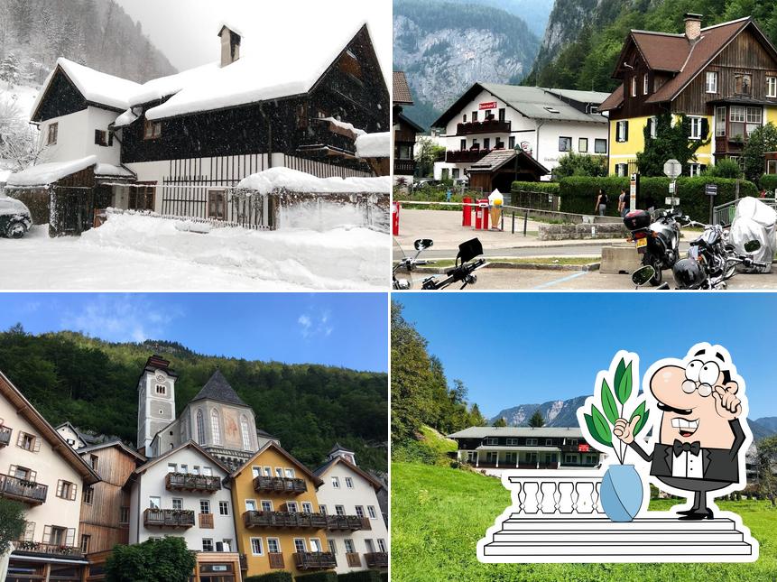 Pension Bergfried, Hallstatt - Restaurant reviews