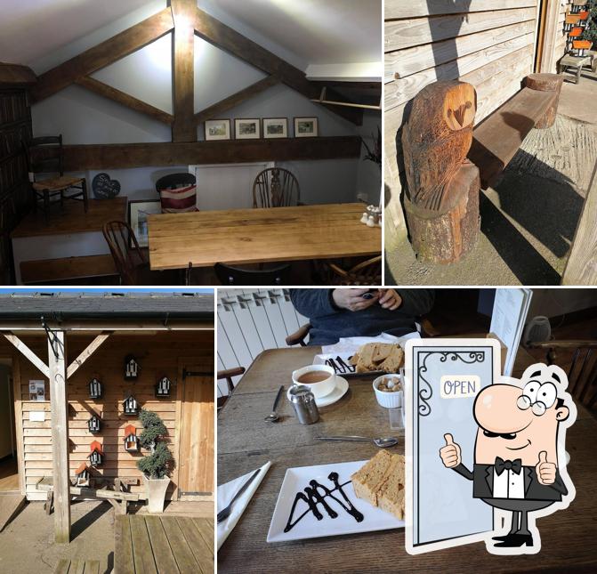 Light Ash Farm Shop and Cafe, Myerscough and Bilsborrow - Opiniones del ...