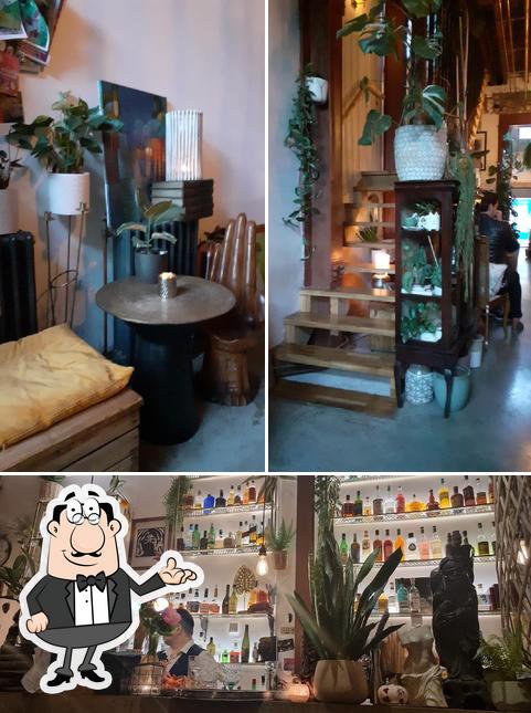 Zapoi, London - Restaurant menu, prices and reviews