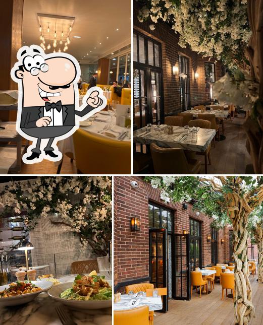 Cibo Hale, Altrincham - Restaurant menu, prices and reviews