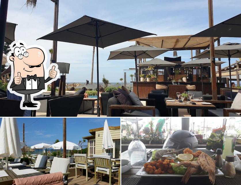 Babaloo restaurant, Tamaris, P3012 - Restaurant reviews