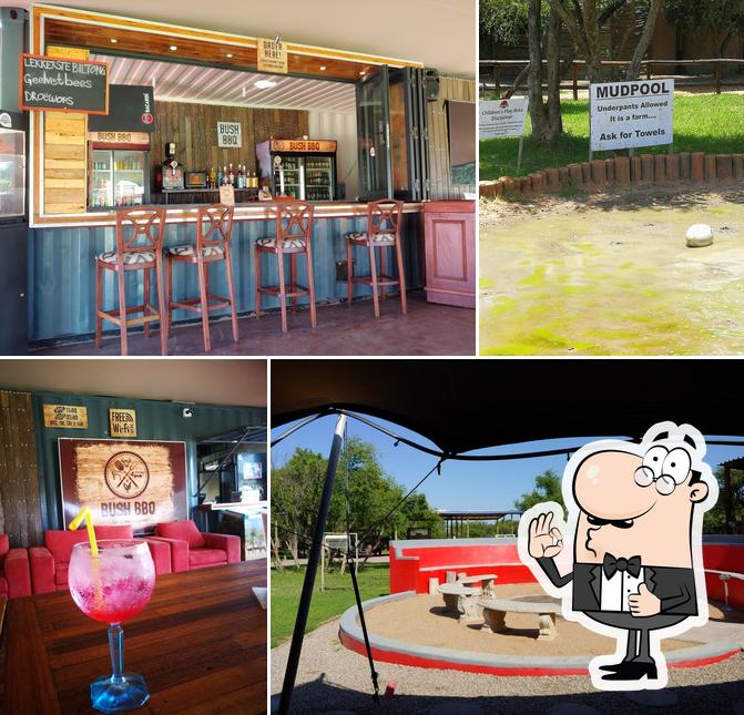Bush bbq, South Africa - Restaurant reviews