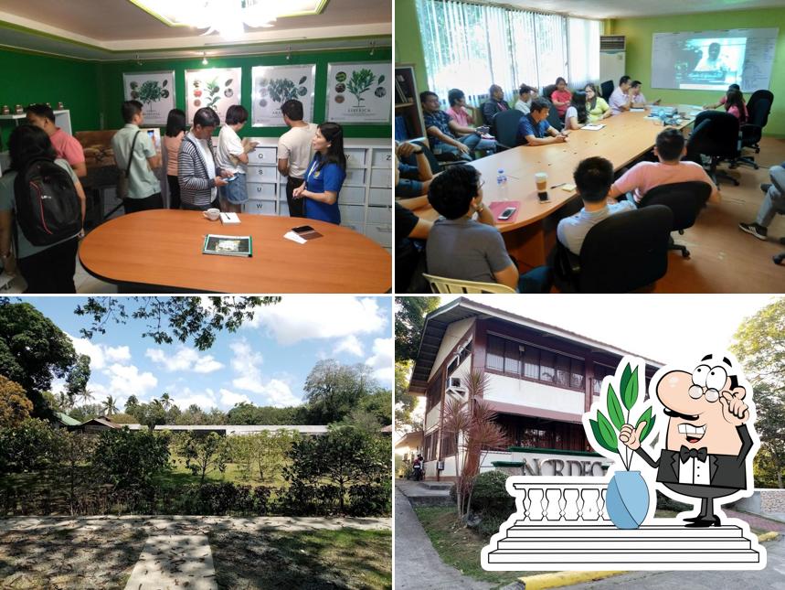 NCRDEC - National Coffee Research Development and Extension Center CvSU ...