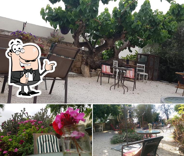 Peggy's Garden Cafe & Deli, Peyia - Restaurant menu, prices and reviews