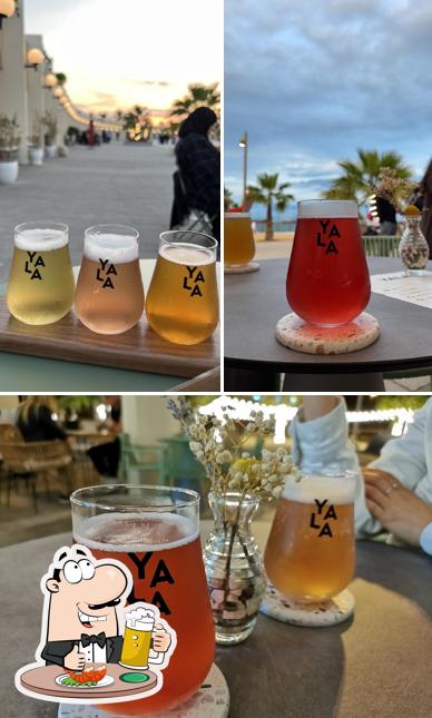 YALA Kombucha pub & bar, Abu Dhabi - Restaurant reviews