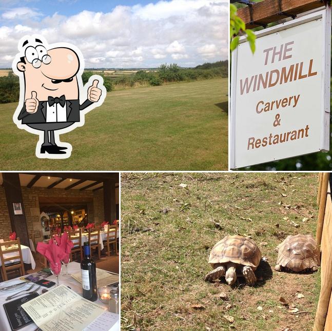The Windmill Restaurant and Carvery in Burford