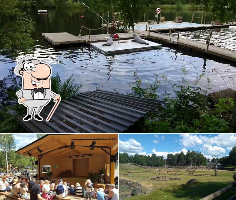 Borås Zoo, Borås - Restaurant menu, prices and reviews