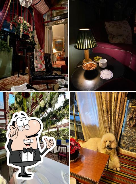 Mark's Club, London, Green Park - Restaurant menu, prices and reviews