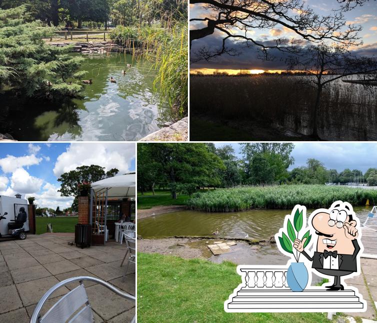 Everitt Park Café & Bar in Lowestoft - Restaurant menu and reviews
