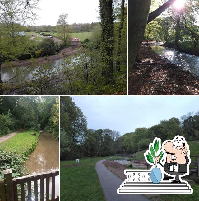Hubbard's Hills Café, Louth - Restaurant menu, prices and reviews