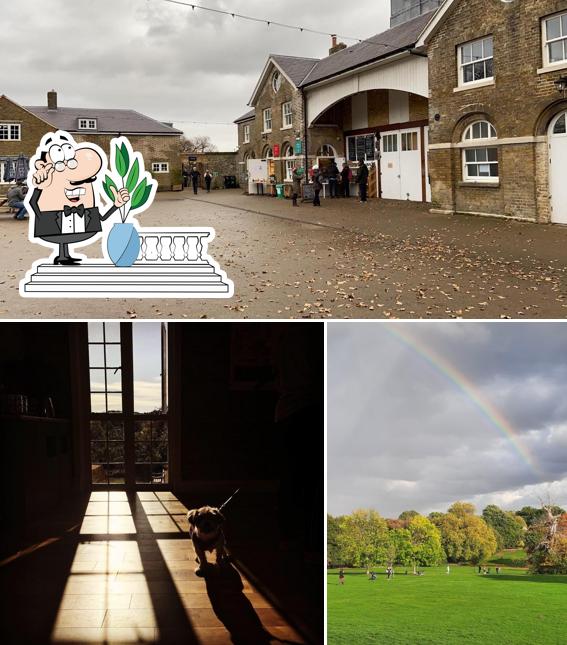 The Homestead Cafe, Beckenham - Restaurant menu, prices and reviews