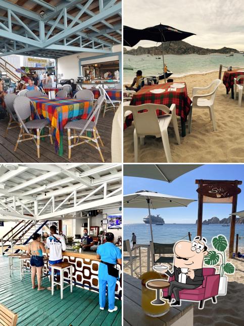 The Sand Bar, Cabo San Lucas - Restaurant menu, prices and reviews