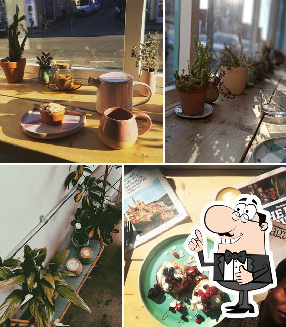 Albatross Café in Bristol - Restaurant reviews