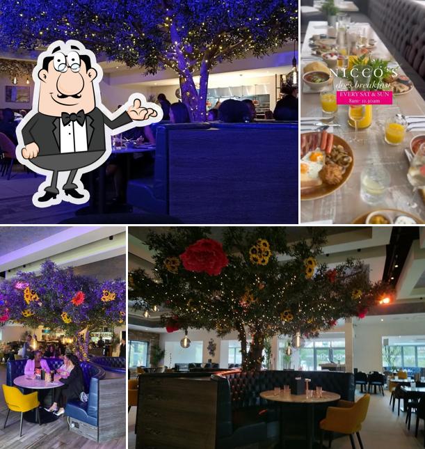 Nicco Restaurant & Bar, Derby - Restaurant menu, prices and reviews