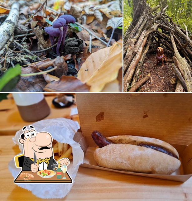 Fodder in the Woods, Downpatrick - Restaurant menu, prices and reviews