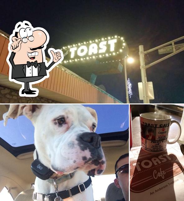 The toast, Anderson - Restaurant menu, prices and reviews