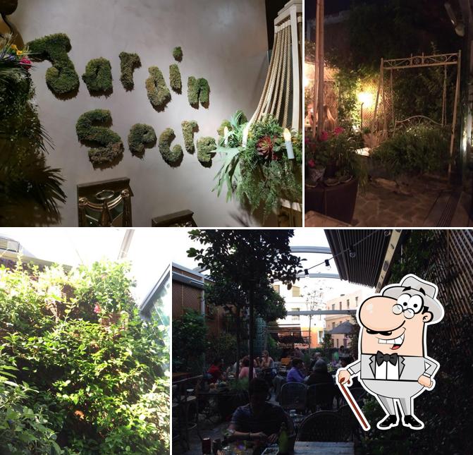 Secret Rooftop Garden, Madrid - Restaurant menu, prices and reviews