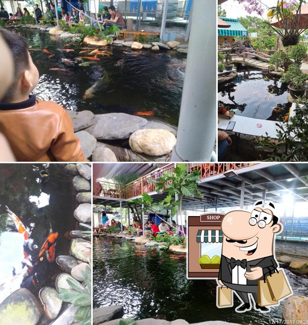 Ruby Cafe Koi., Da Nang - Restaurant reviews