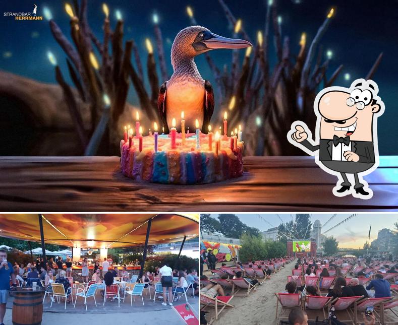 Strandbar Herrmann, Wien - Speisekarte, Preise und Bewertungen
