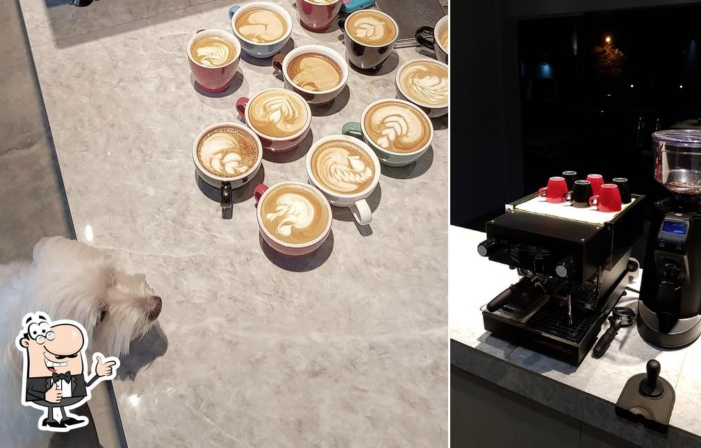 Summa Coffee Bar & Roastery, Medan - Restaurant reviews