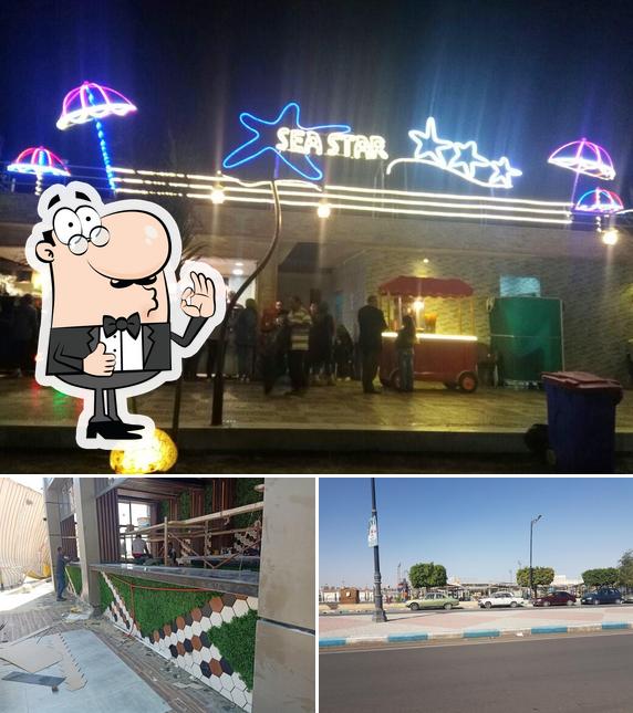 Sea Star Café cafe, Suez - Restaurant reviews