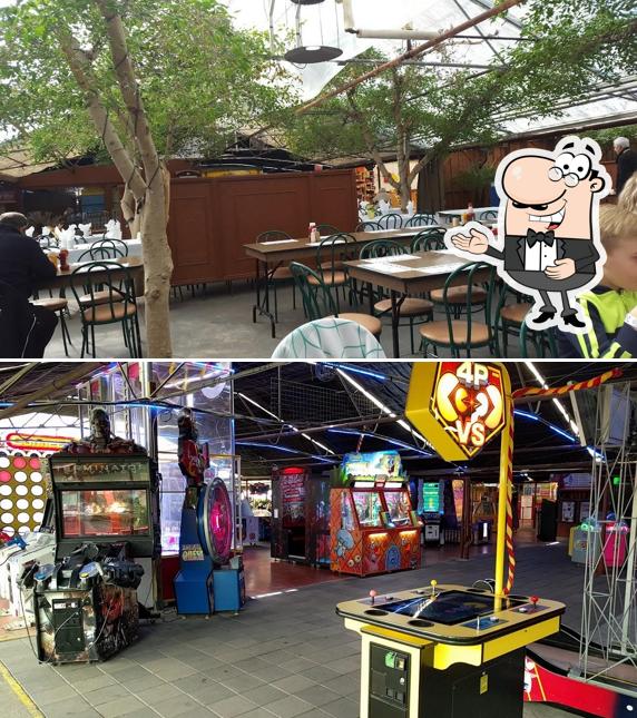 Colasanti's Tropical Gardens in Kingsville - Restaurant reviews