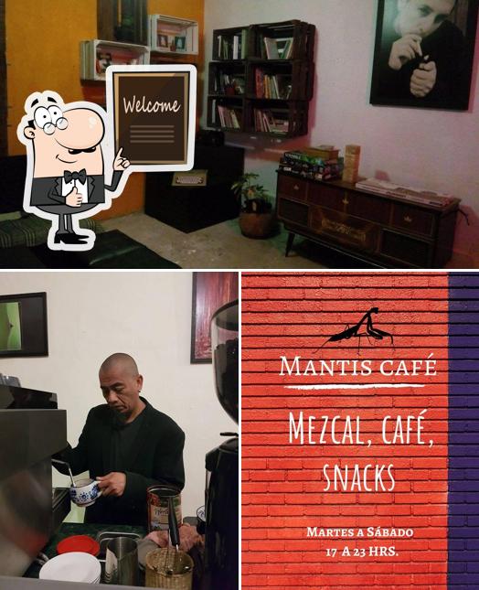 Mantis café, Xalatlaco