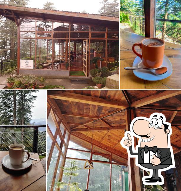 Cafe Under Tree, Shimla - Restaurant menu, prices and reviews