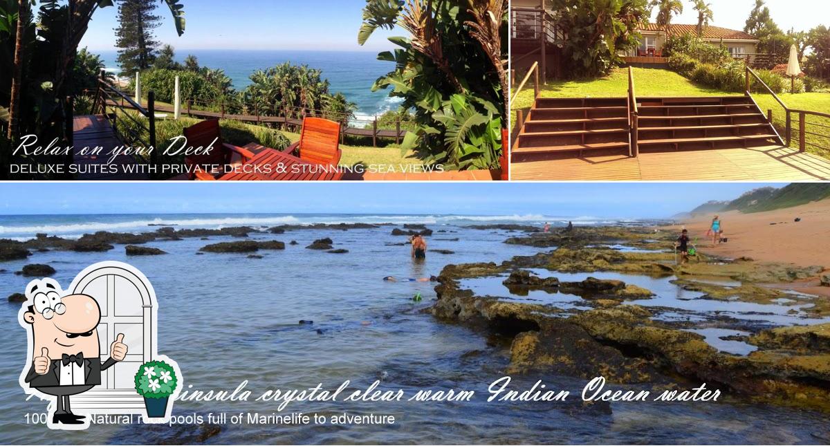 African Peninsula Guest House & Restaurant, Durban - Restaurant menu ...