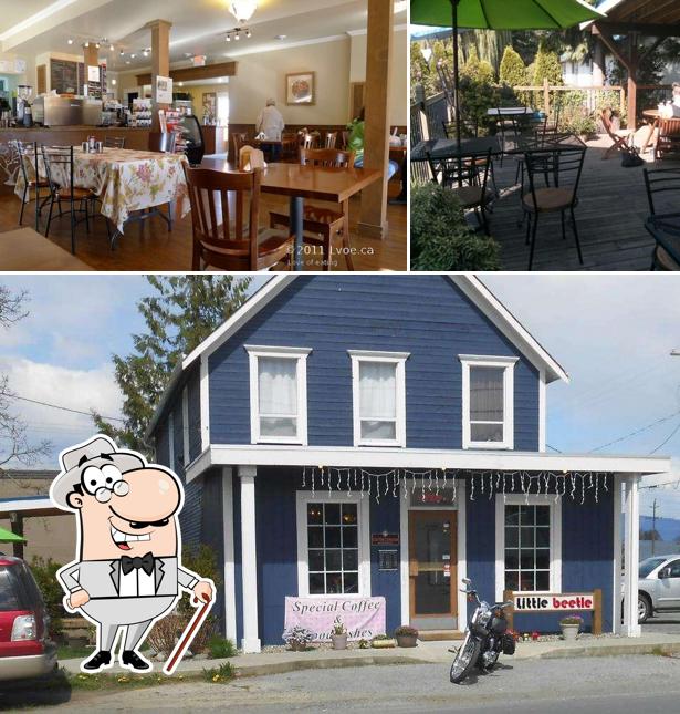 Little Beetle, Chilliwack - Restaurant menu, prices and reviews