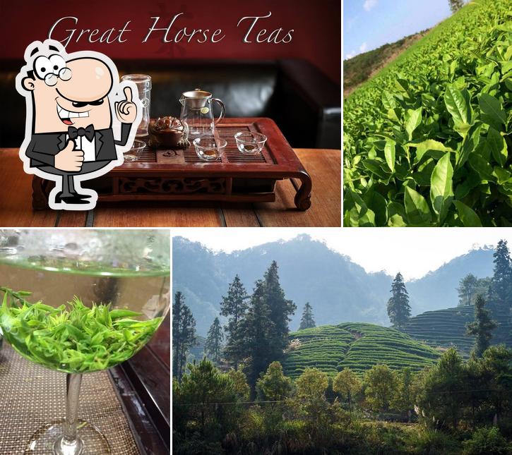 Great Horse Teas in Bellingham