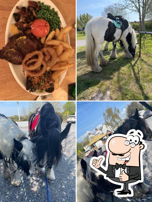 Watchfield Inn, Highbridge - Restaurant menu, prices and reviews