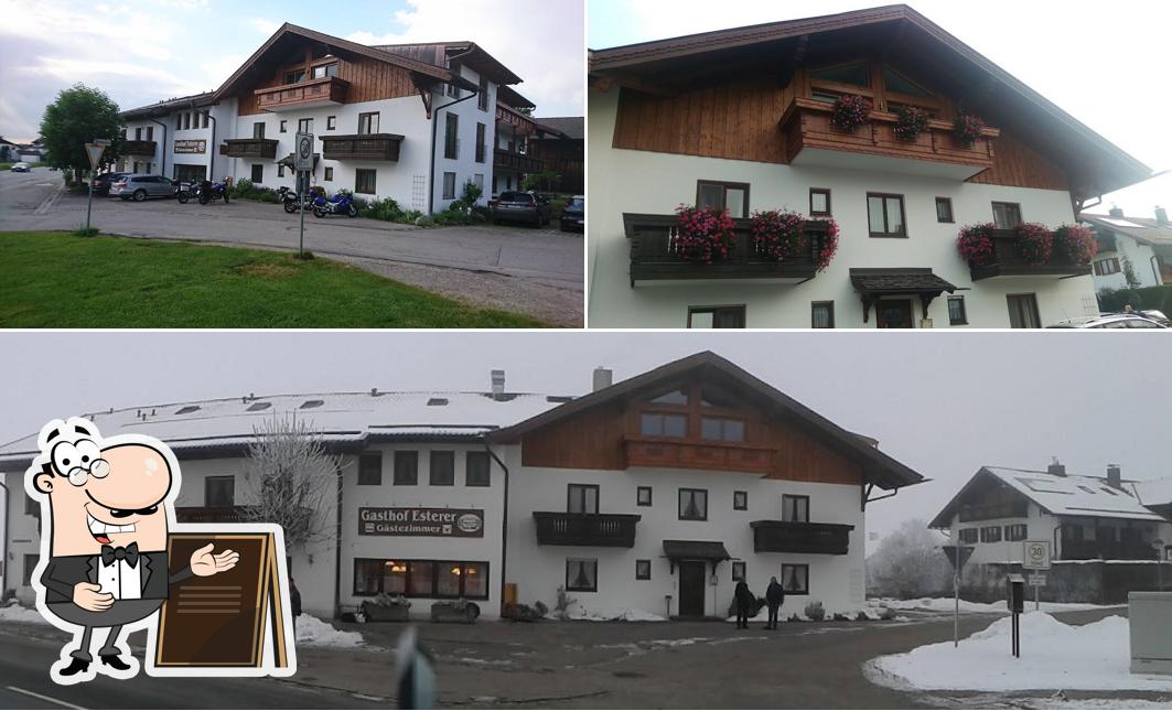 Gasthof Esterer, Schechen - Restaurant reviews