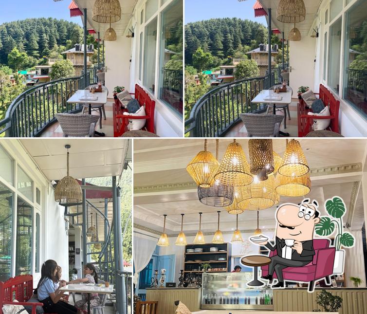 Falafel & Laffa Bar & Bistro, Dharamshala - Restaurant menu, prices and ...