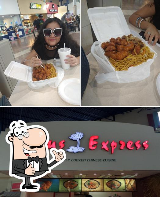 Lotus Express in South Miami Heights - Restaurant reviews