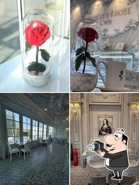 Forever Rose Cafe, Dubai - Restaurant reviews