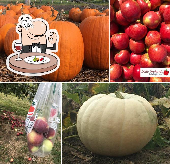 Dixie Orchards in Caledon - Restaurant reviews