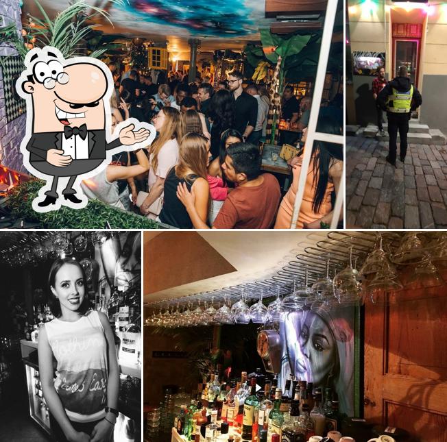 Vein pub & bar, Tallinn - Restaurant menu and reviews